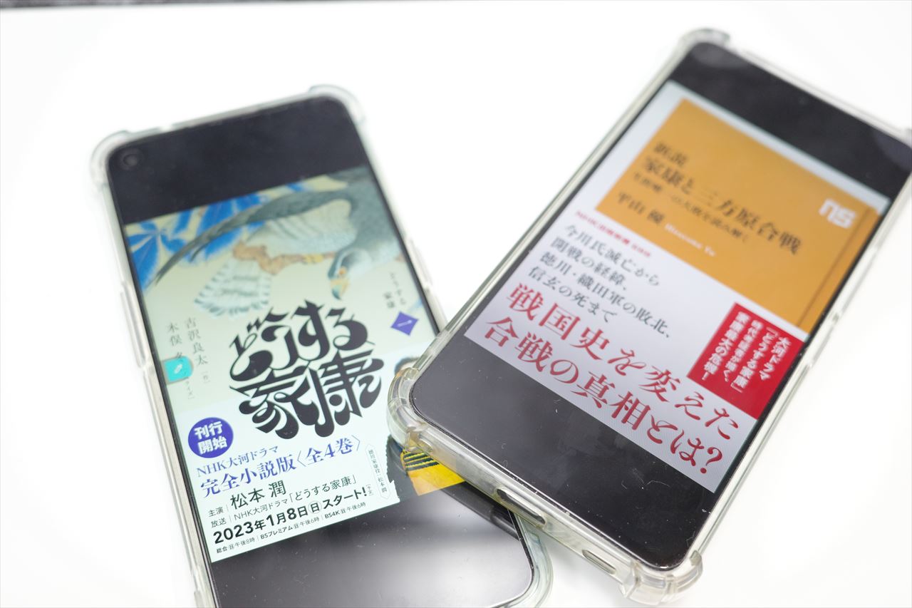 【どうする家康】大河ドラマを100倍楽しめる参考書籍の選び方とは